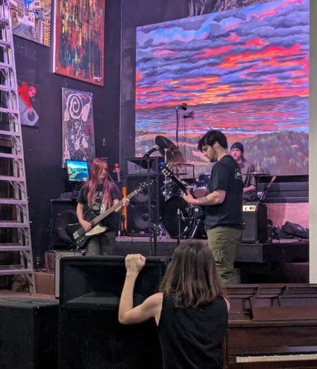 Honors Research Seminar sparks Lansing punk rock celebration - MSU ...
